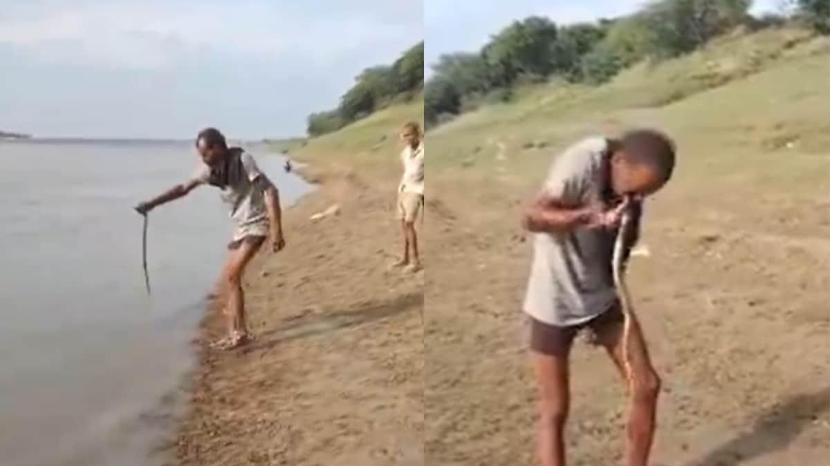 Watch: Man Eats Live Snake Straight From The River, Internet Calls Him ...