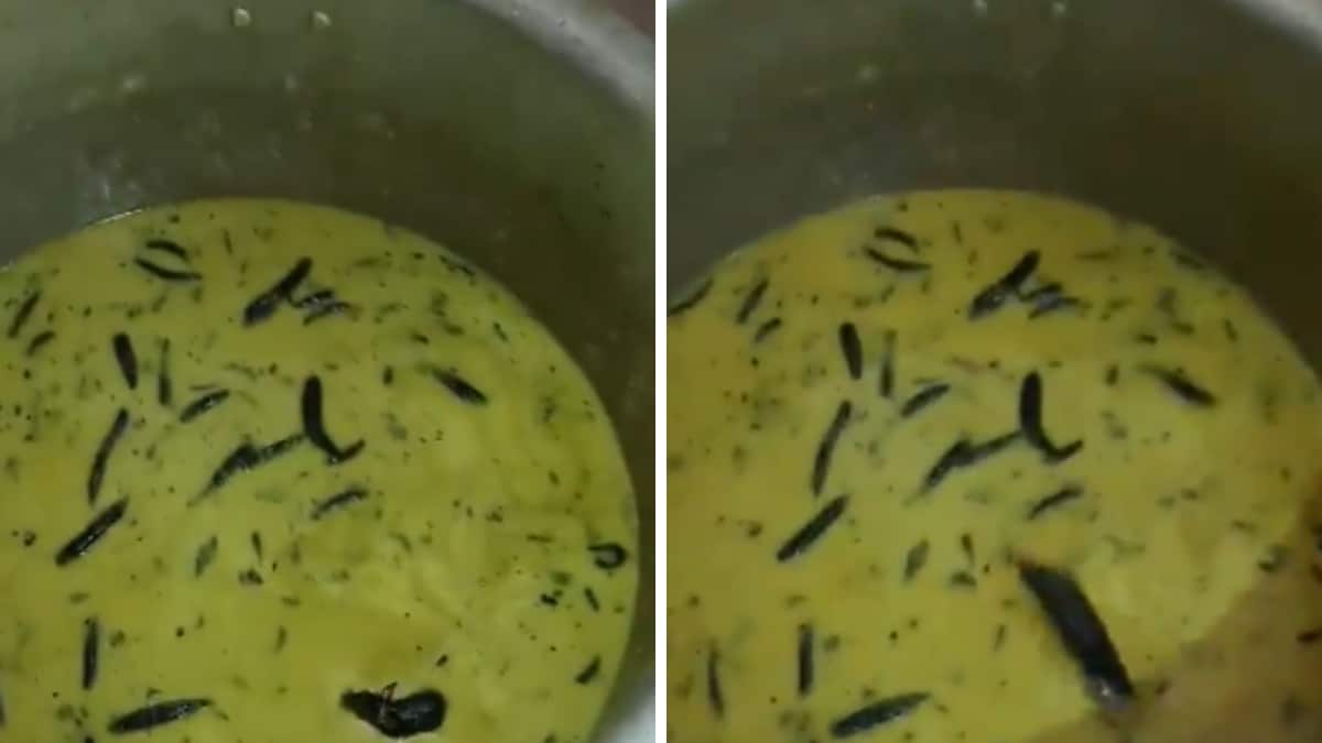 Shocking Video: Hyderabad Students Find Rat In Chutney Served At ...