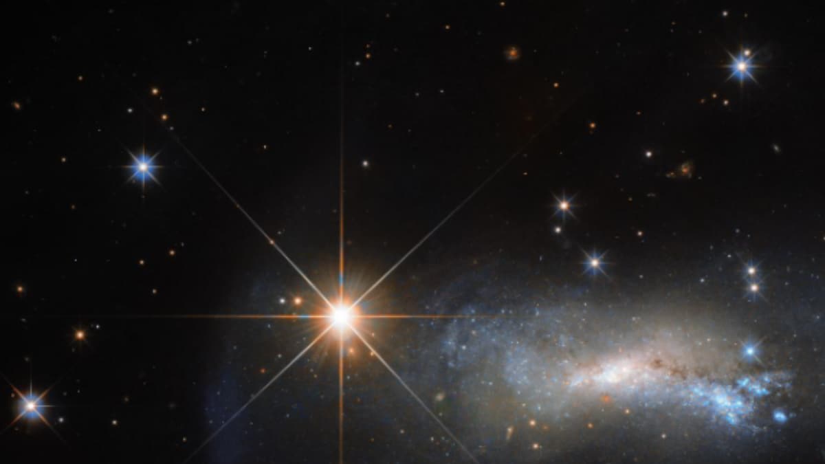 NASA Shows How A Single Star Is Stealing The Show In Our Galaxy | Viral ...
