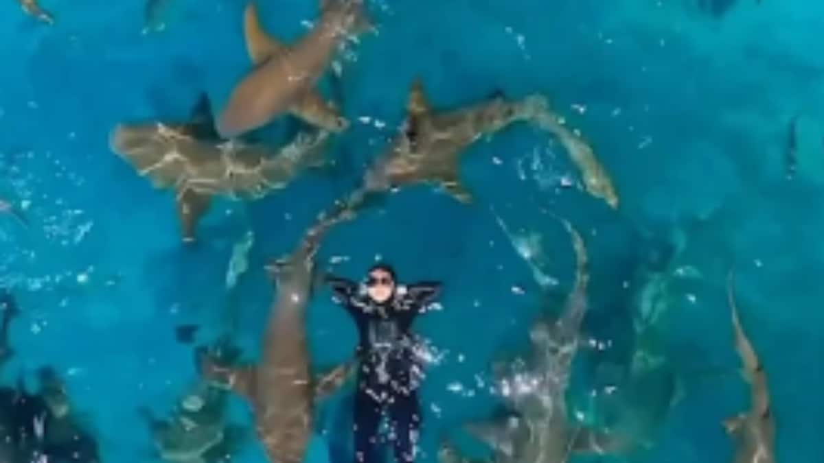 Watch: Woman Conquers Her Fear Of Sharks By Swimming With Them | Viral ...