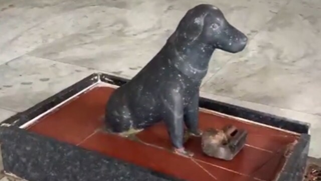 Unique Temple in UP Village Worships Dogs: A Tale of Loyalty and Belief ...