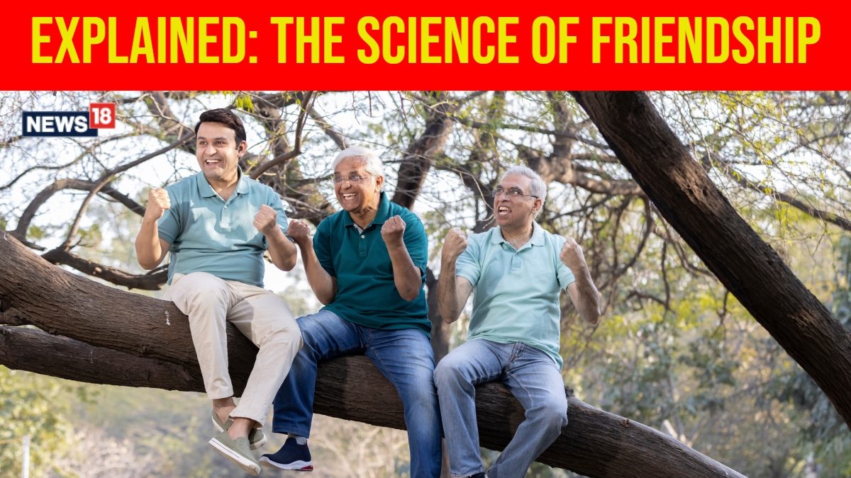 Friendship Day 2024: Understanding the Psychology Behind Bonds and Commitments | Lifestyle News ...