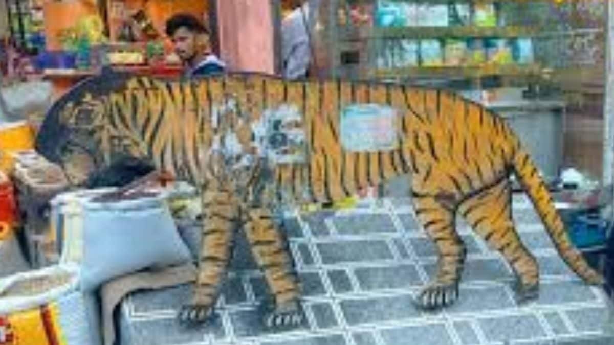 In Uttarakhand’s Almora, This Landmark Lion Statue In Lala Bazaar Has A ...
