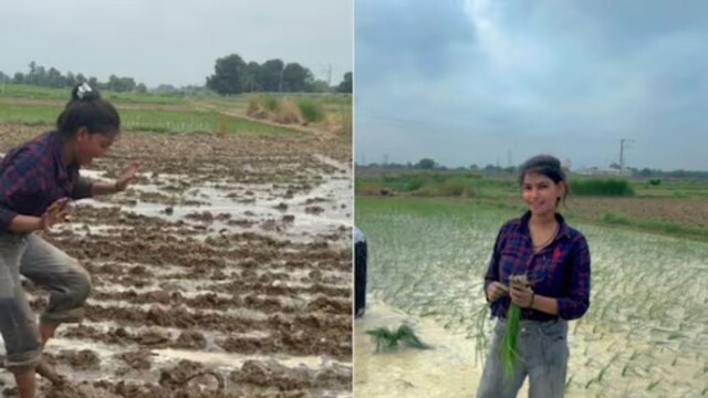 Watch: Girl Tries To Catch A Python With Bare Hands And Then This ...