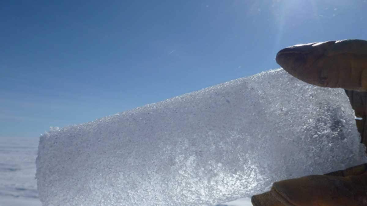 Ancient Zombie Viruses, Dating Back 41,000 Years, Discovered In ...