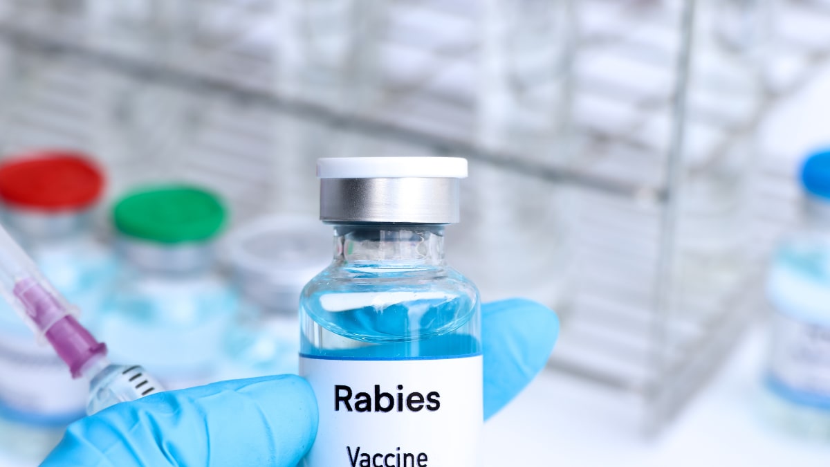 To Cut Rabies Deaths, Govt Panel Evaluating Use Of Antibody Shots After ...