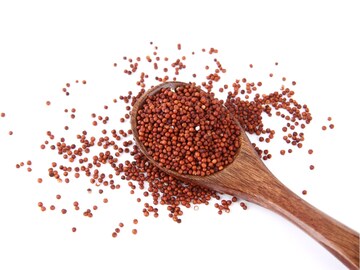 5 Health Benefits of Ragi That You Should Know And Why To Have It In ...