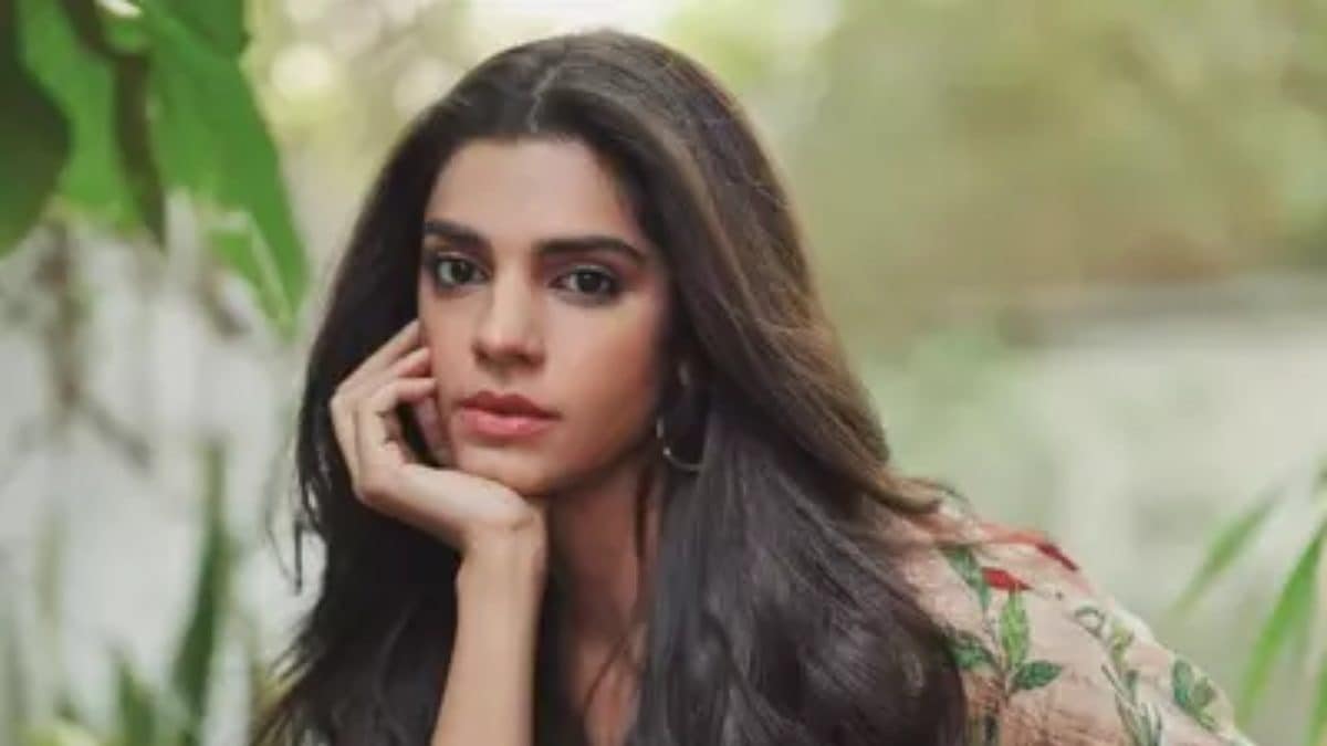 Sanam Saeed On Working In India After Barzakh: 'When Actors From Other Side Feel Safe To Work ...