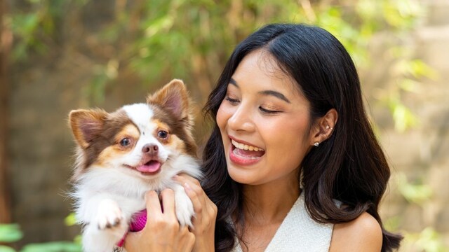 The Role of Pets in Enhancing the Mental Health of Working ...