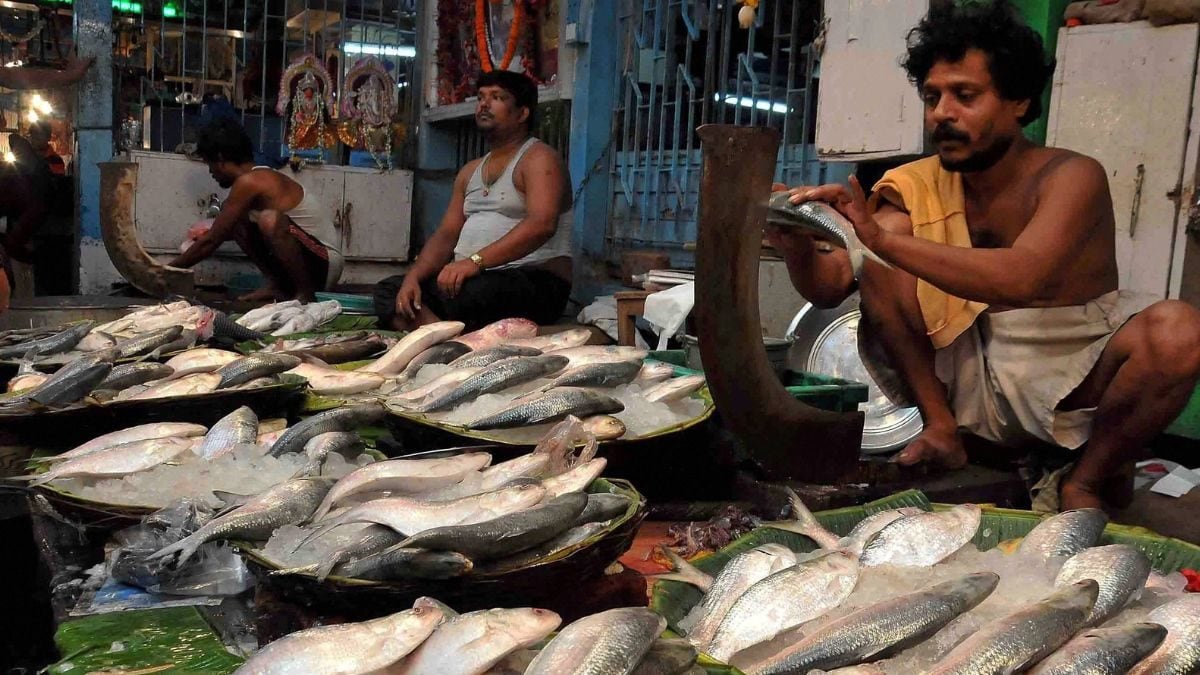 No Ilish In This Year’s Durga Puja Platter? Up-Hilsa Struggle For Bengalis, Traders Amid ...