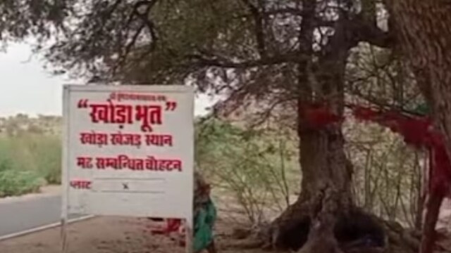 In Rajasthan’s Barmer, Locals Worship This Tree Said To House Khoda ...