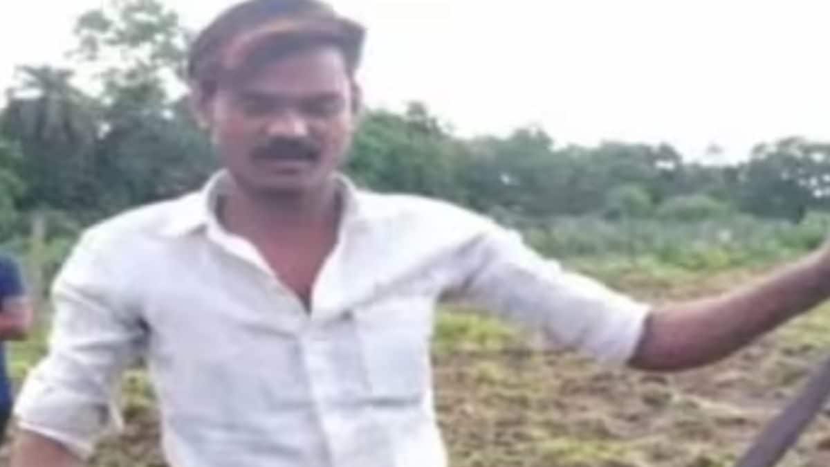 In Madhya Pradesh, Cobra Dies After Biting Snake Catcher | Viral News ...