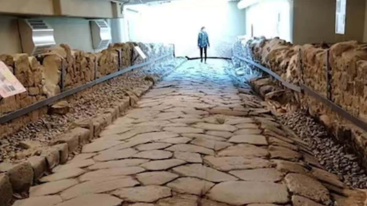 Why This McDonald’s In Rome Has Ancient Skeletons On Display | Viral ...