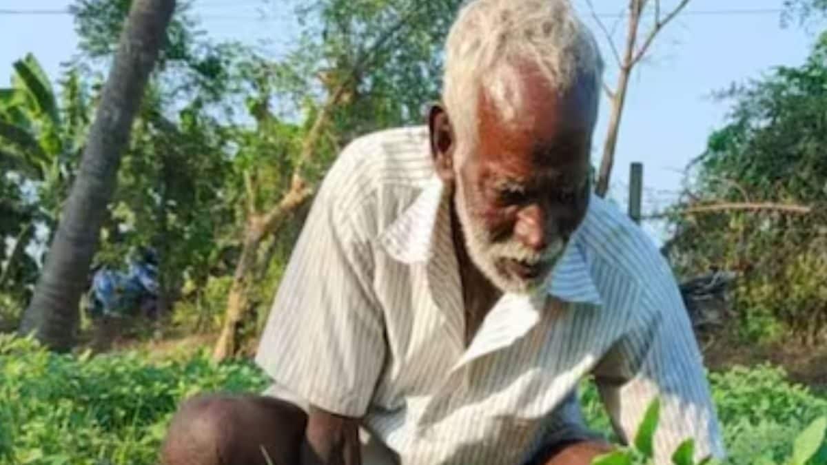 Govt Raises Raw Jute MSP By 6% To Rs 5,650 Per Quintal | Business News - News18