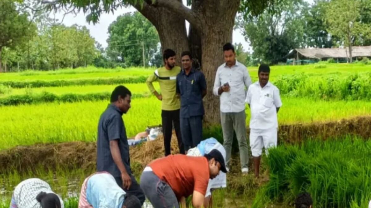 Telangana Collector Rahul Raj Promotes Paddy Farming With Hands-on ...
