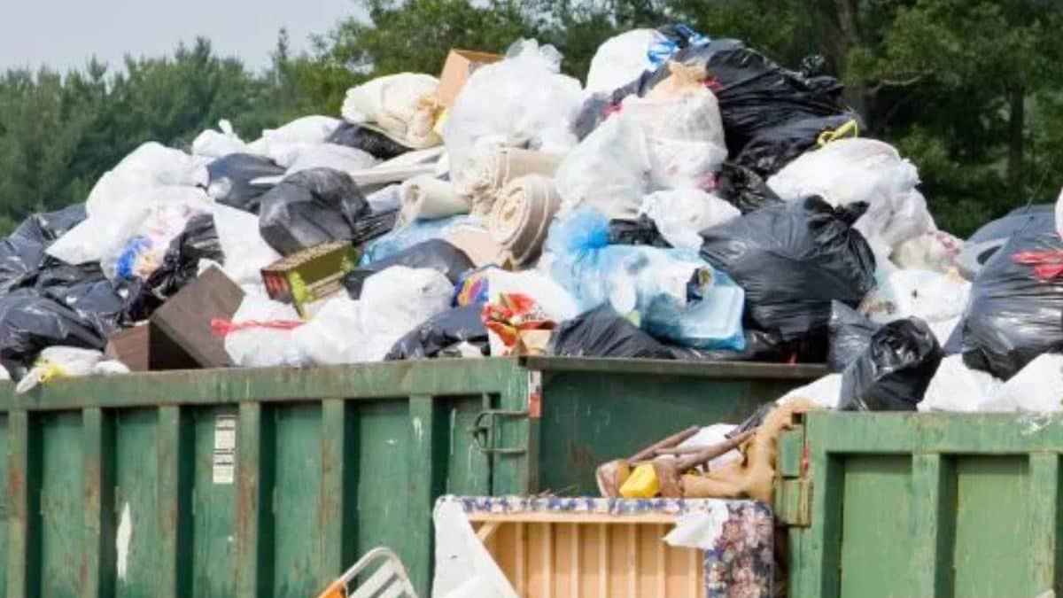Rs 63 Lakh From Dumpster Diving? US Woman Shares Her Secrets | Viral ...