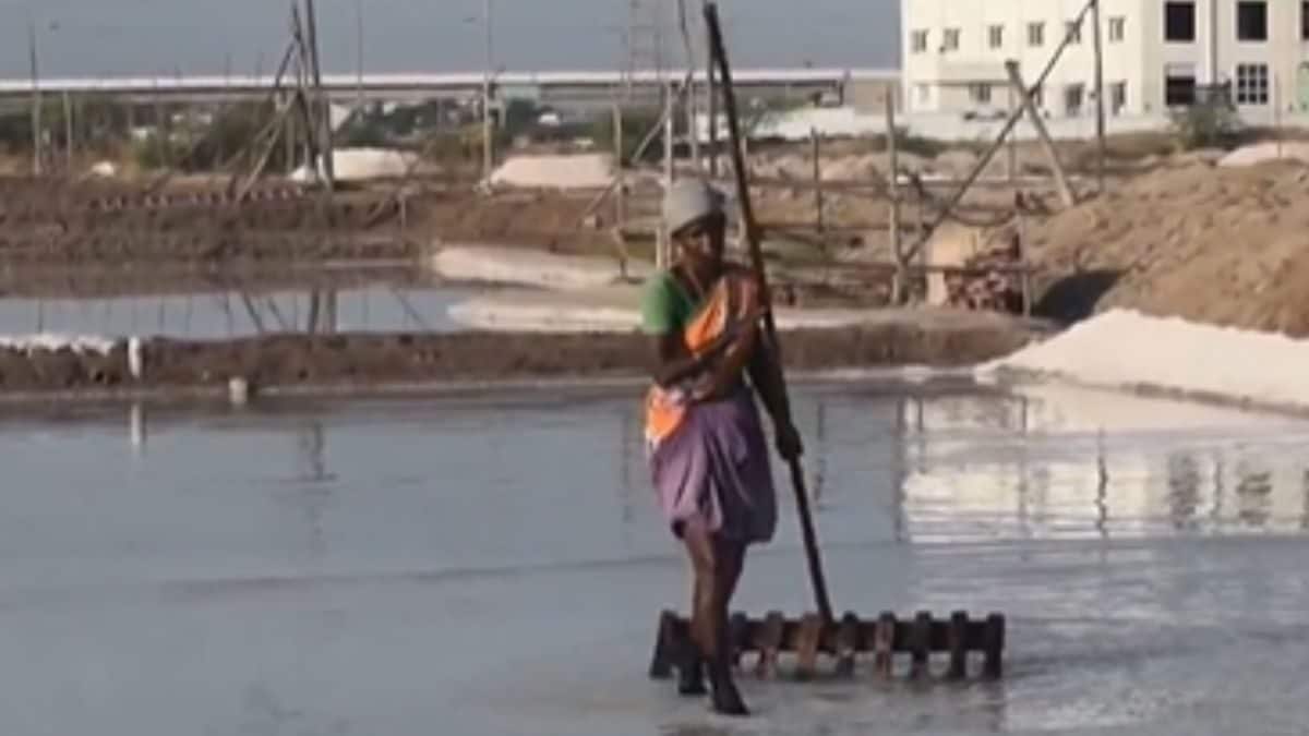 How Salt Is Manufactured In Tamil Nadu's Thoothukudi | India News - News18
