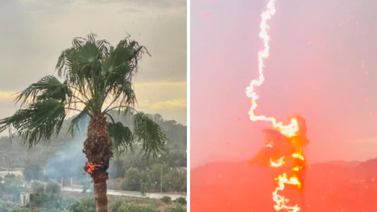 'Scary And Amazing': Viral Video Shows The Moment Lightning Struck A ...