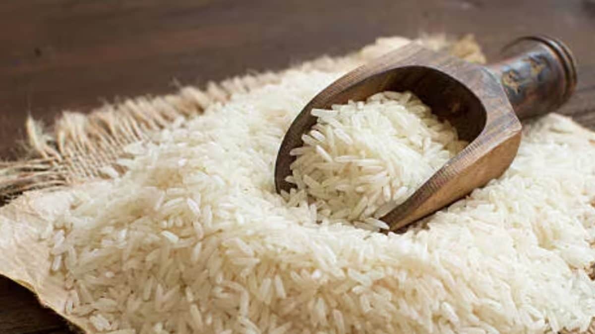 How Much Rice Is Too Much Rice? Expert Weighs In | Lifestyle News - News18