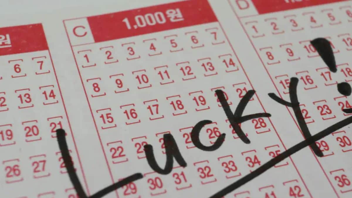 US Man Wins Rs 42 Lakh Using License Plate Of Late Dog In Lottery ...