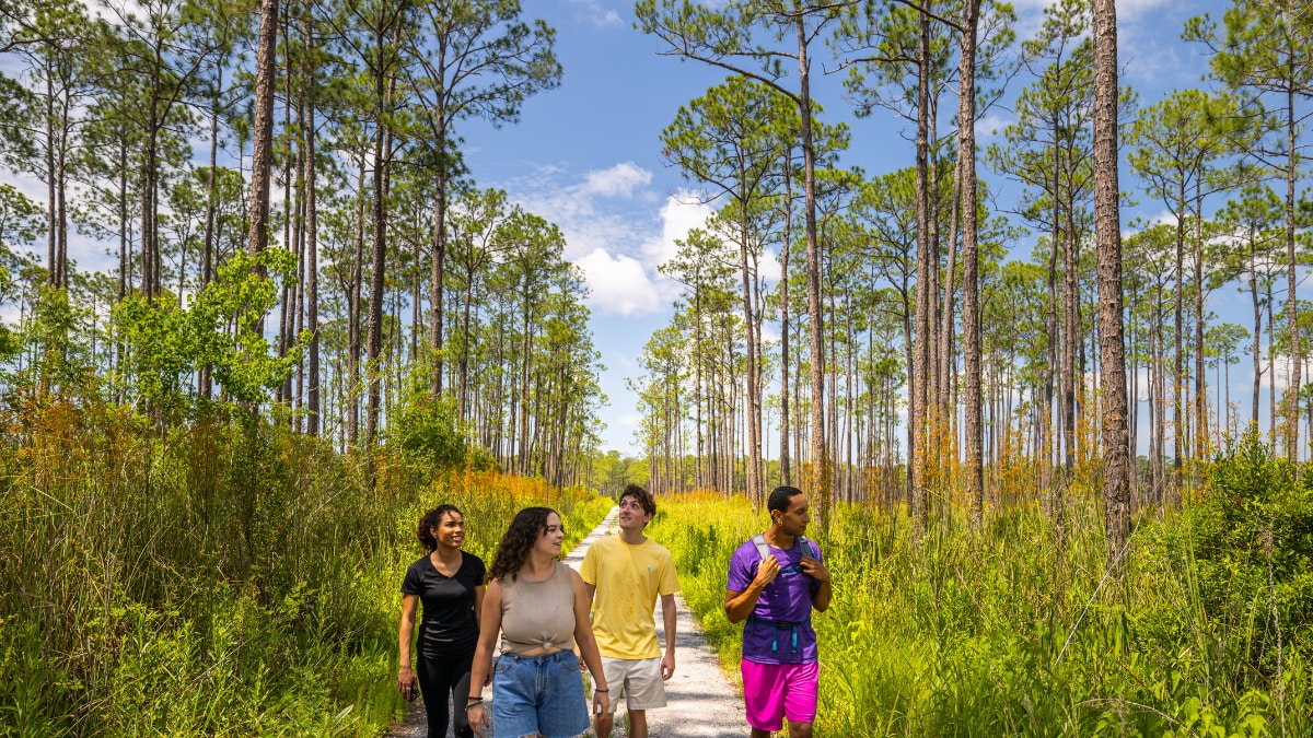 Southern Charm and Bayou Magic: A Quick Guide to Louisiana's 13 Regions ...