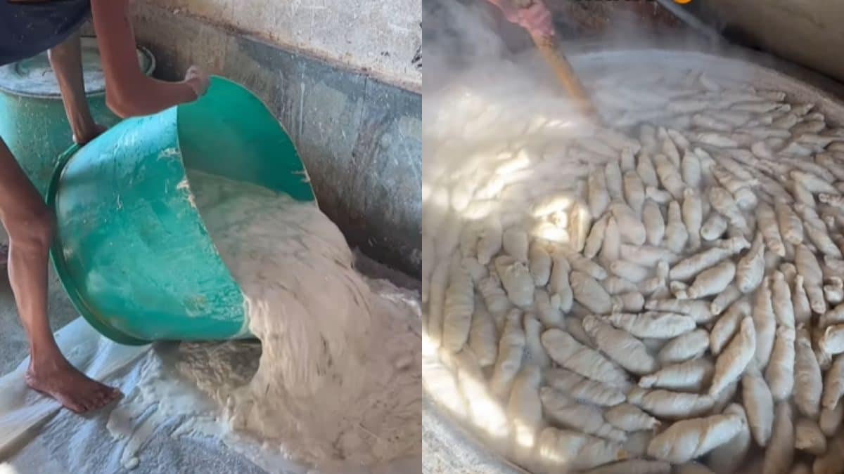 Disturbing Soya Chaap Factory Video Goes Viral, Raises Alarm Among ...