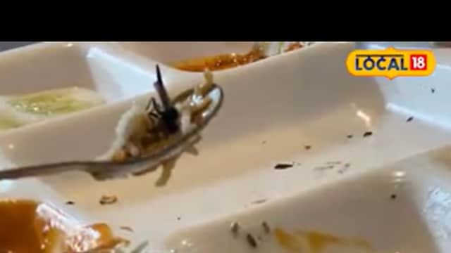 Worm Found in Pulao at Popular Restaurant in Greater Noida, Staff Says ...