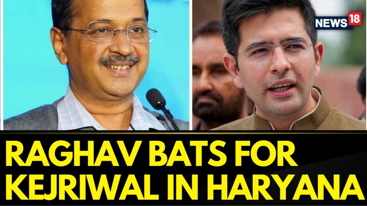 Haryana Elections 2024 | AAP's Raghav Chadha Campaigns For Arvind ...