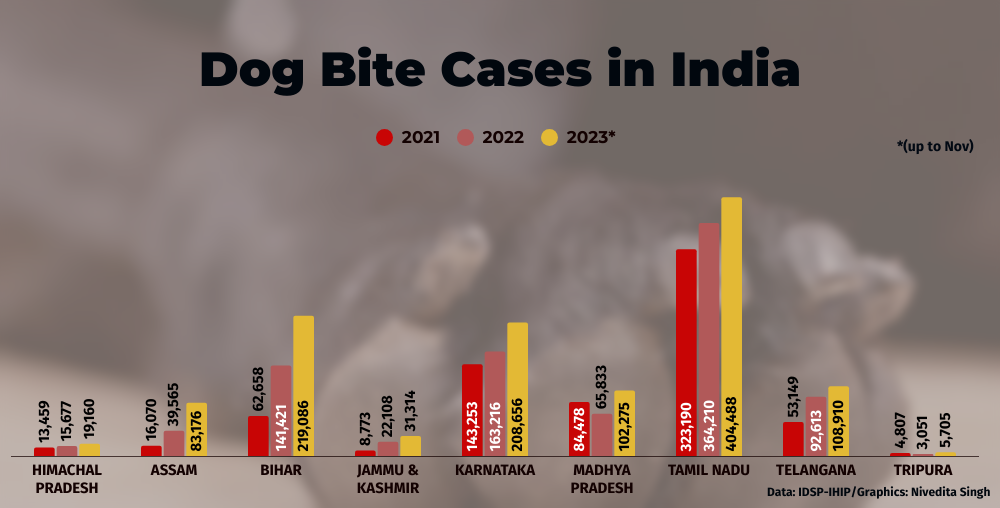 Dog-Bite Cases Almost Doubled Since 2021, India Saw 350 Victims Per Hour in 2023 | India News ...