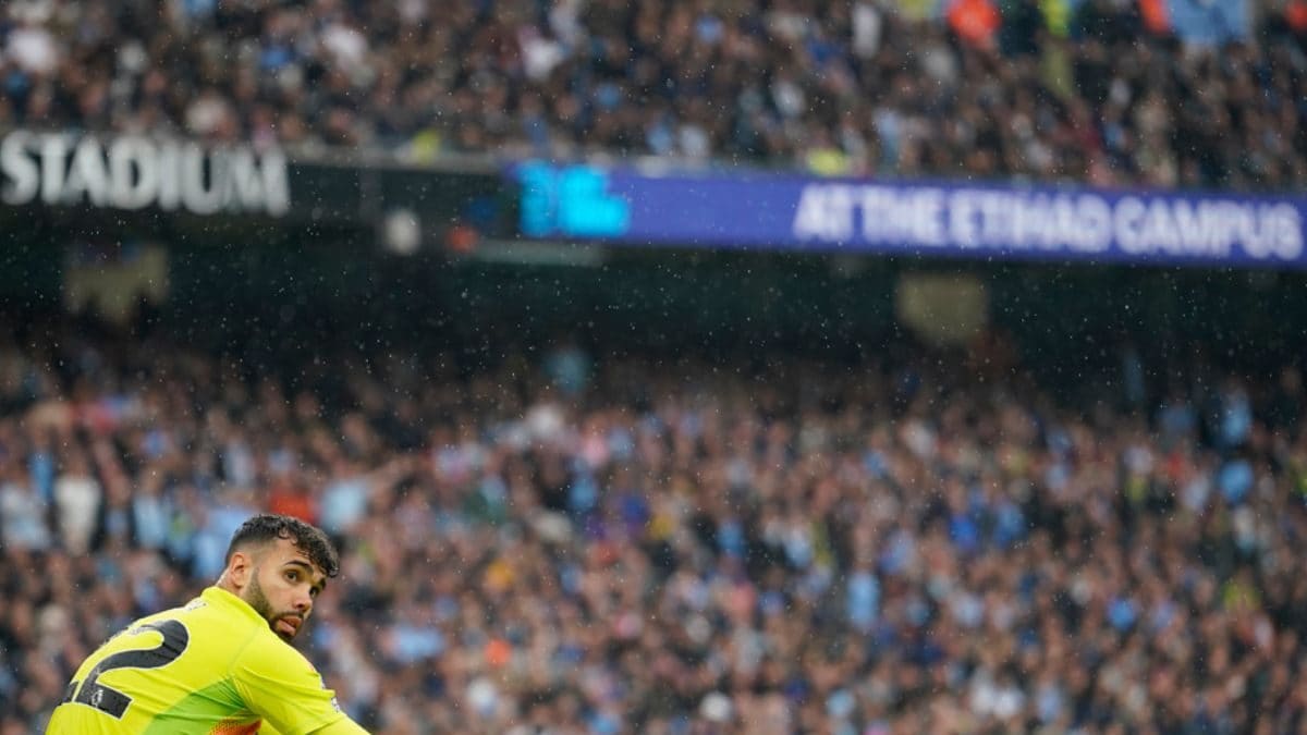 Premier League: Arsenal's David Raya Hailed 'Best in The World' After ...