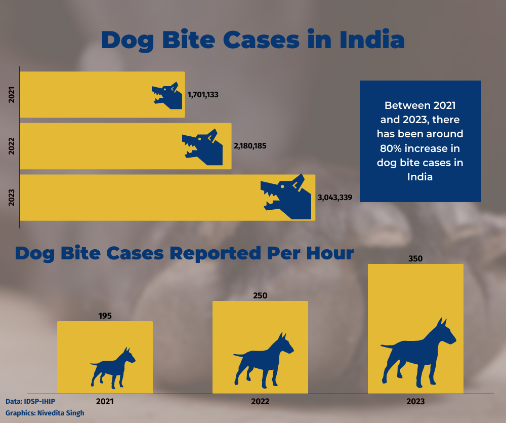 Dog-Bite Cases Almost Doubled Since 2021, India Saw 350 Victims Per Hour in 2023 | India News ...