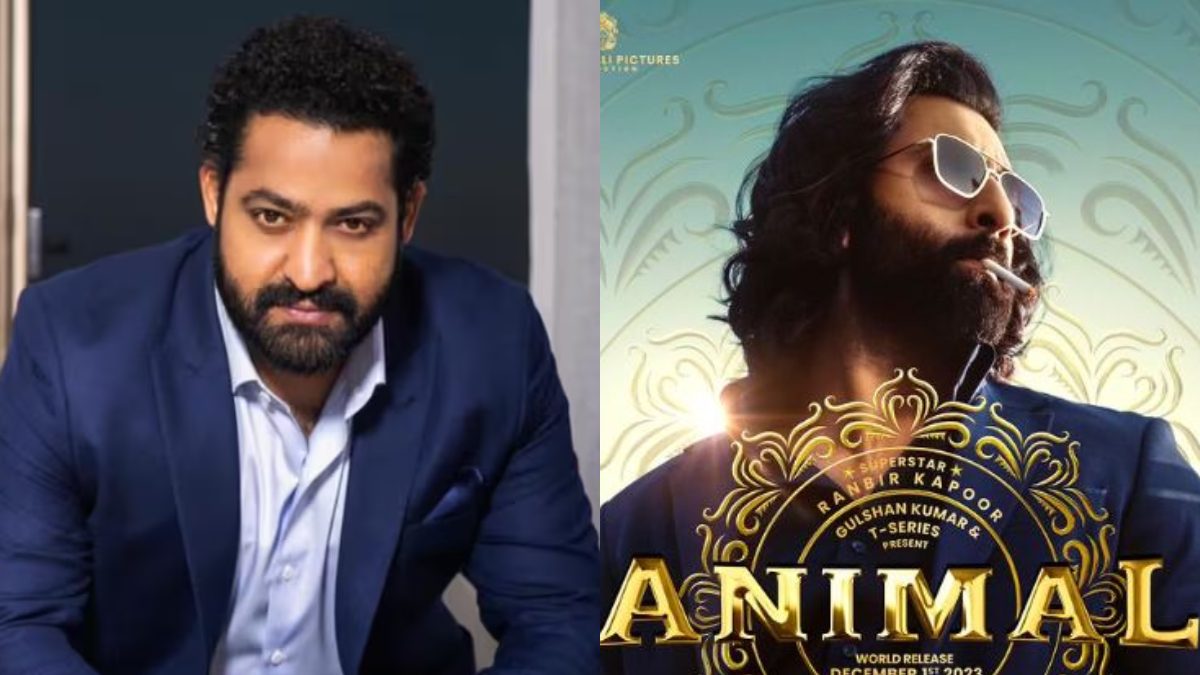 Devara: Part 1 Star Jr NTR Pokes Fun At Ranbir Kapoor's Animal, Asks Sandeep Reddy Vanga: 'What ...