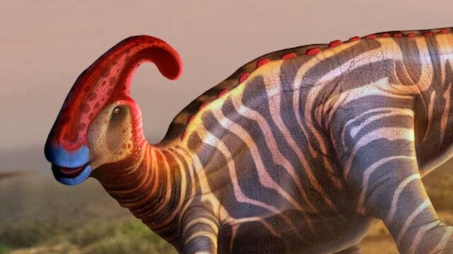 This Dinosaur Species Developed Thousands Of Teeth Due To Constant ...