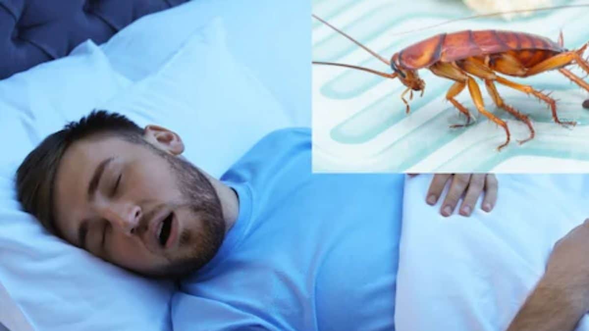 This China Man Mistakenly Inhaled Cockroach In Sleep. Here’s What ...