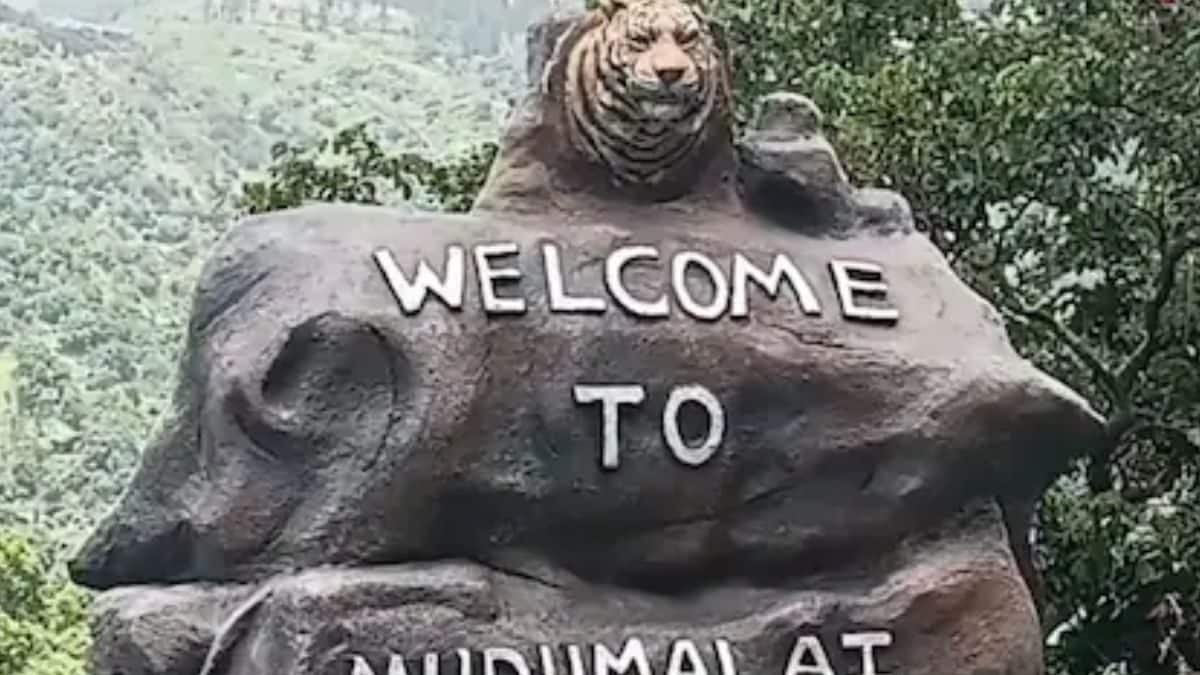 Why Tourist Vehicles Are Not Allowed In Ooty's Kalhatty Mountain Road ...