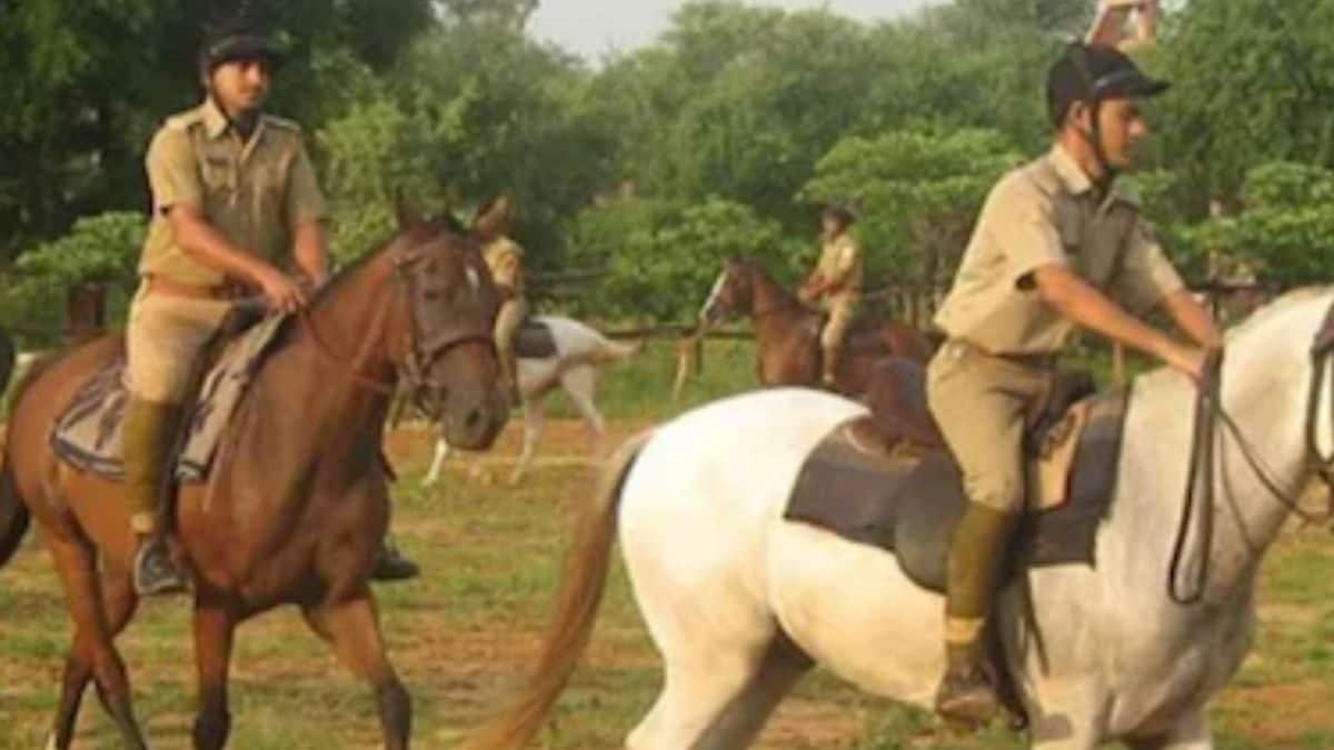 Rajasthan Police Releases Admit Cards For Constable Proficiency Test ...