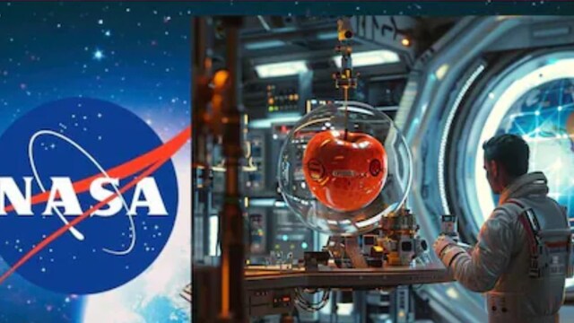 Want To Work At NASA? Know About Qualifications And Skills Required ...
