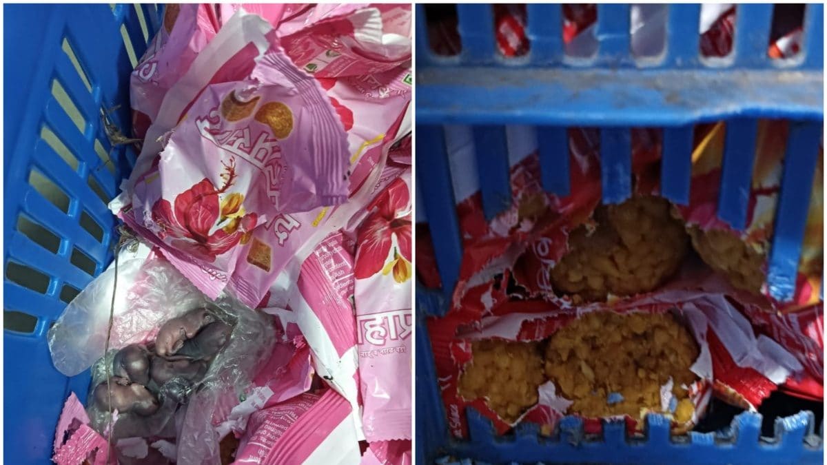 'Prasad Not Of Siddhivinayak Temple': Trust Launches Probe After Viral ...