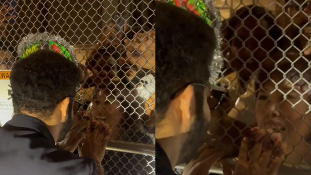 Jr NTR Fan Travels From Japan To Los Angeles To Watch Devara: Part 1 ...