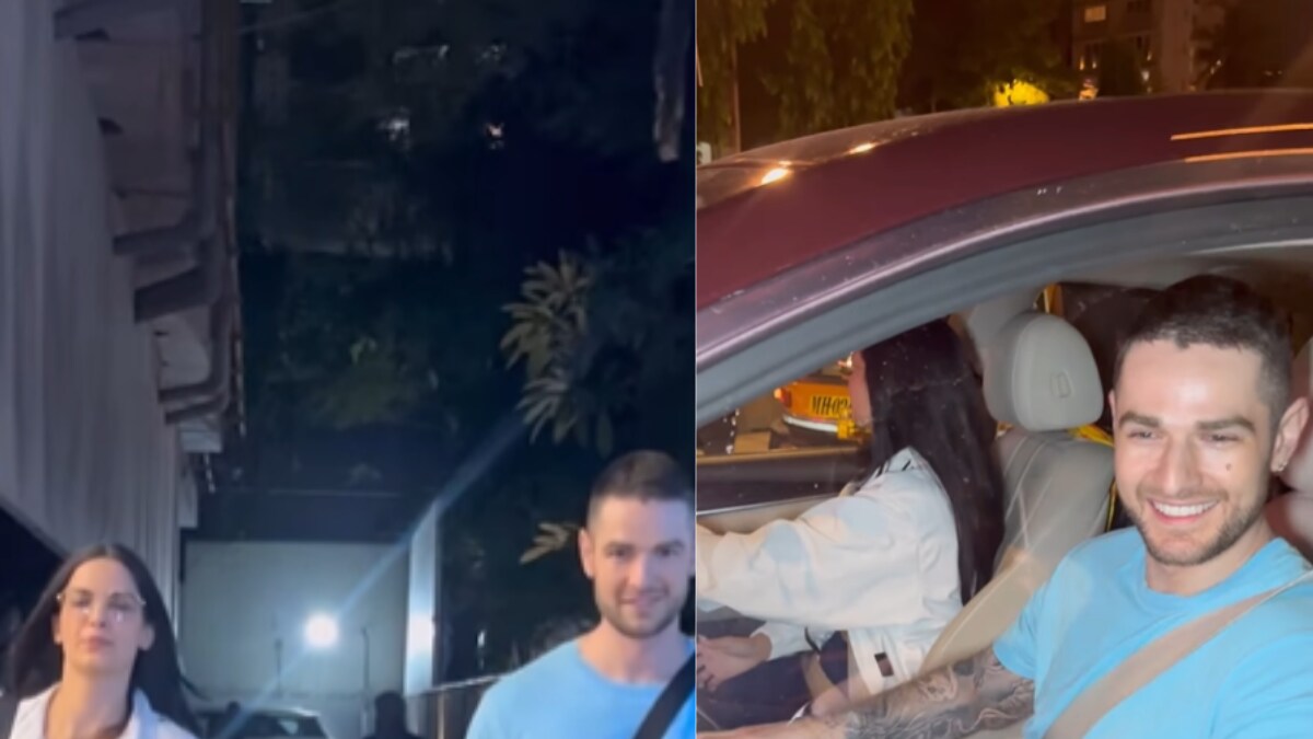 Natasa Stankovic Spotted With Her BFF Aleksander Illic After Returning ...