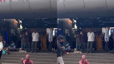 Watch: Influencer Dresses Up As Spider-Man, Begs At Maharashtra's ...