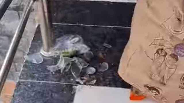 ‘It’s Always NCR Bros’: Nainital Homestay Owner Documents Damage Caused ...