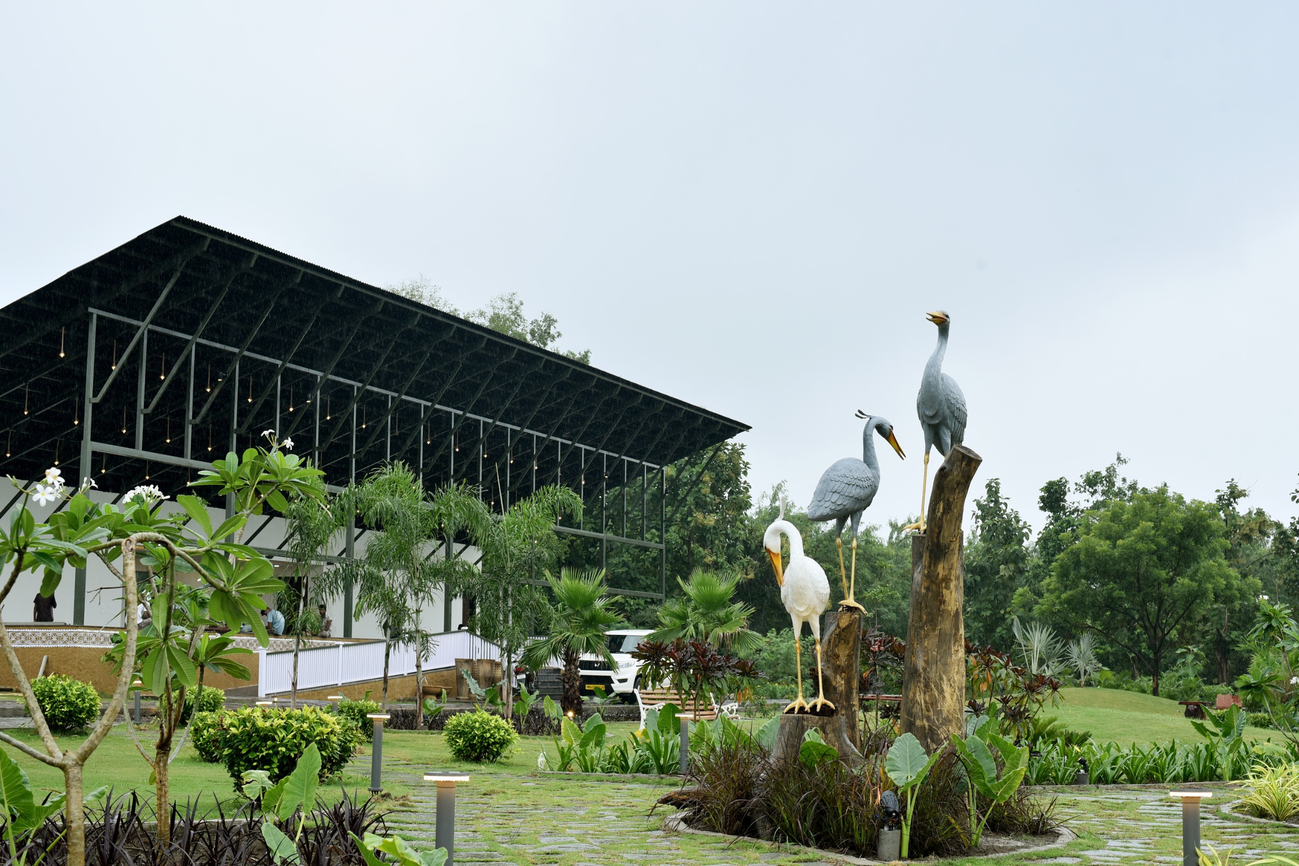 A Natural Habitat on A National Highway: What is Gadkari’s First-of-Its ...