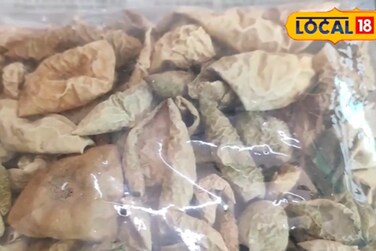 Tinda News: Latest Tinda News and Updates at News18