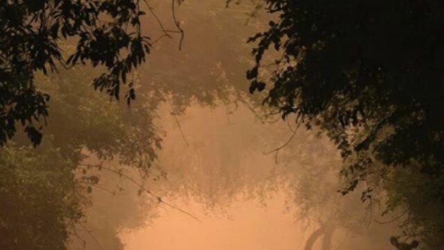 This 9-Year-Old's Morning Stroll Photo Lands Her Wildlife Photographer ...