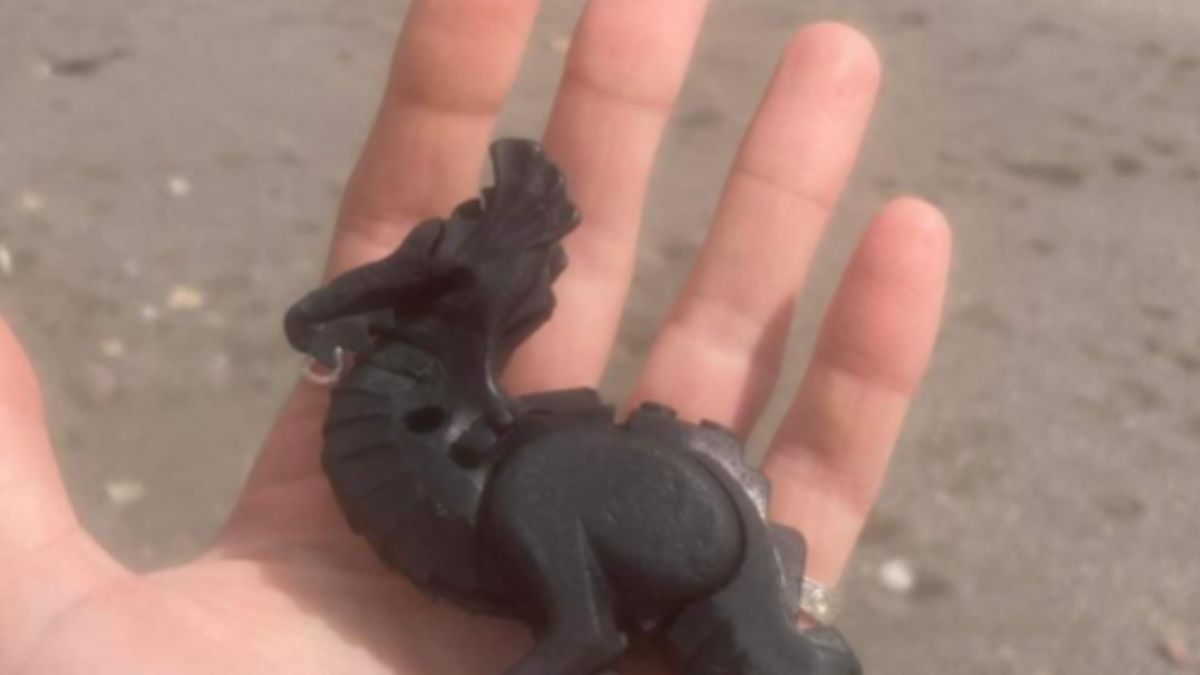 27 Years On, Lego Pieces From 1997 Shipwreck Still Washing Ashore ...