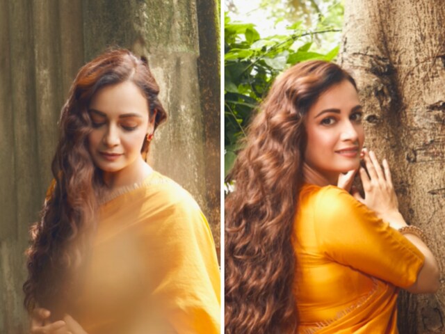 Watch: Dia Mirza Recreates Zara Zara From Her First Film Rehnaa Hai ...