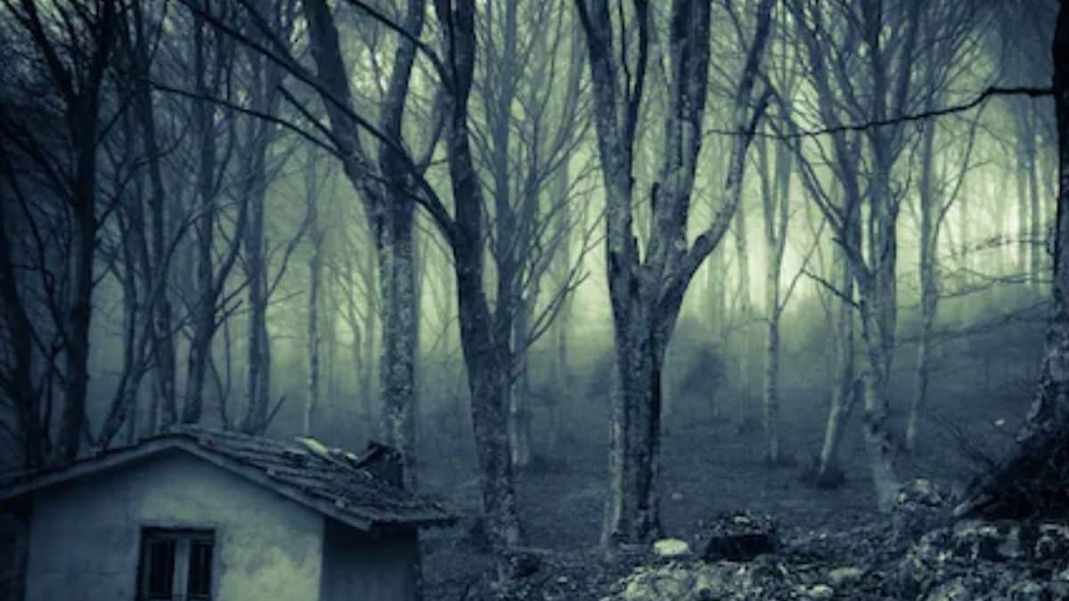 This UK Ghost Hunter Has Explored Over 50 Haunted Sites. Know His Story ...