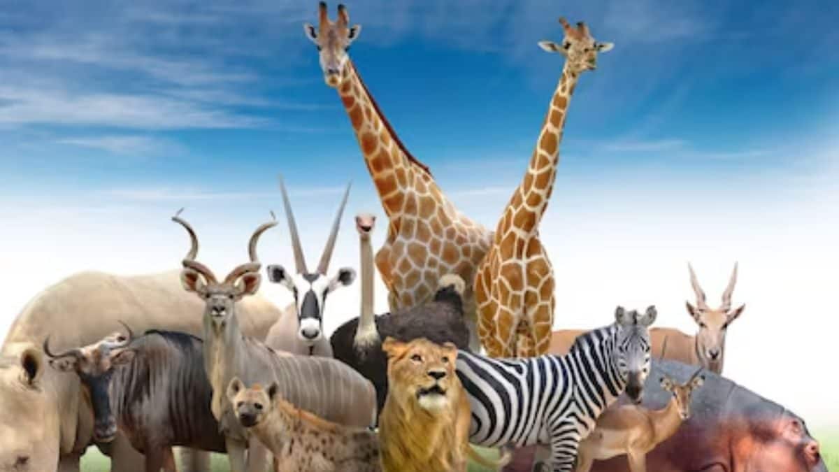 This Creature's Blood Is The Most Expensive In The World | Viral News ...