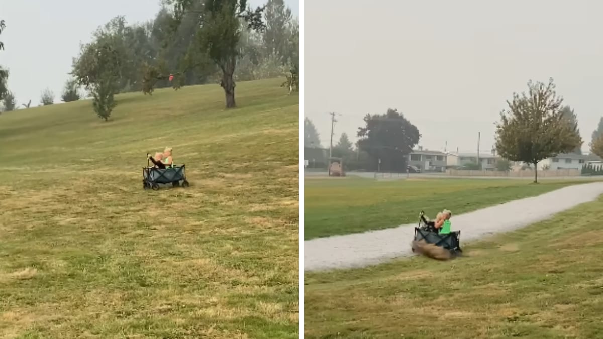 ‘Mom Wasn’t Around’: Kids’ Epic Downhill Trolley Ride Ends In Hilarious ...